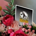 3drose, Idaho Appaloosa with Border of Syringa Flowers, 6 Greeting ...