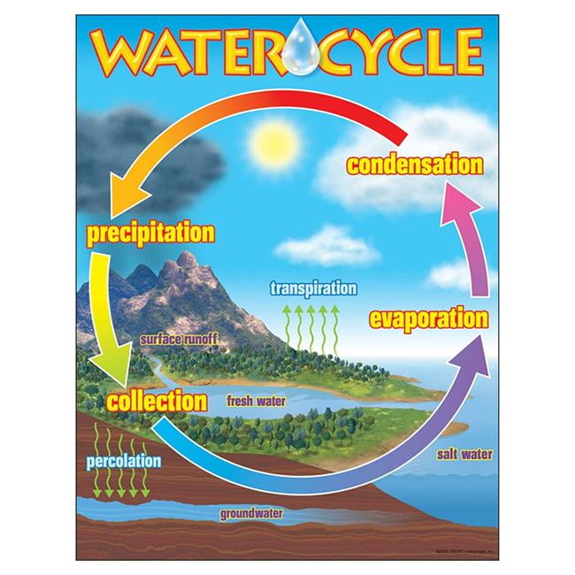Water Cycle Diagram For 6th Grade