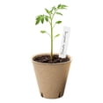100lots Decomposable Nursery Containers Biodegradables Seedling Peat ...