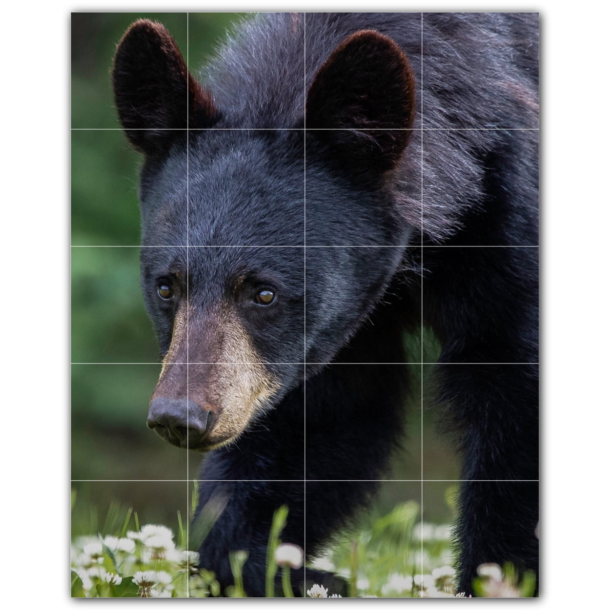 Picture-Tiles.com: Bear Ceramic Tile Wall Mural WAL500119-45M. 24"W x ...
