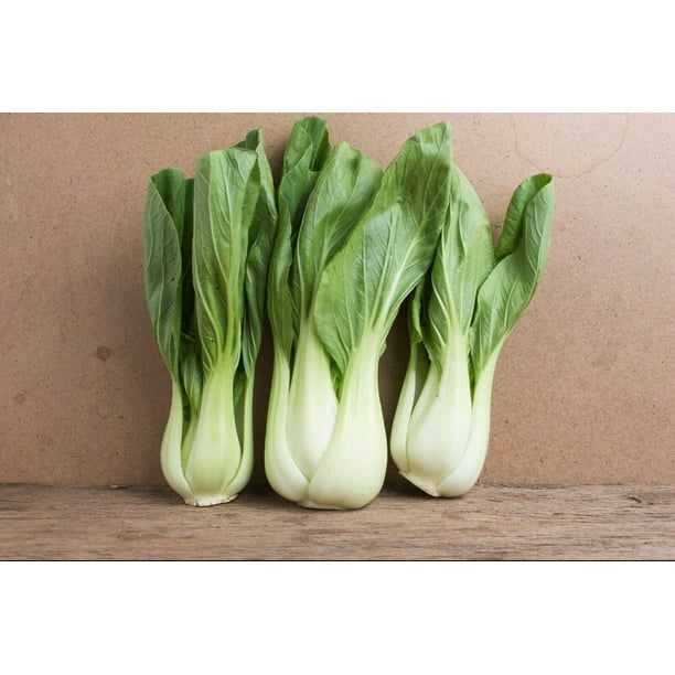 Bok Choy Vegetable