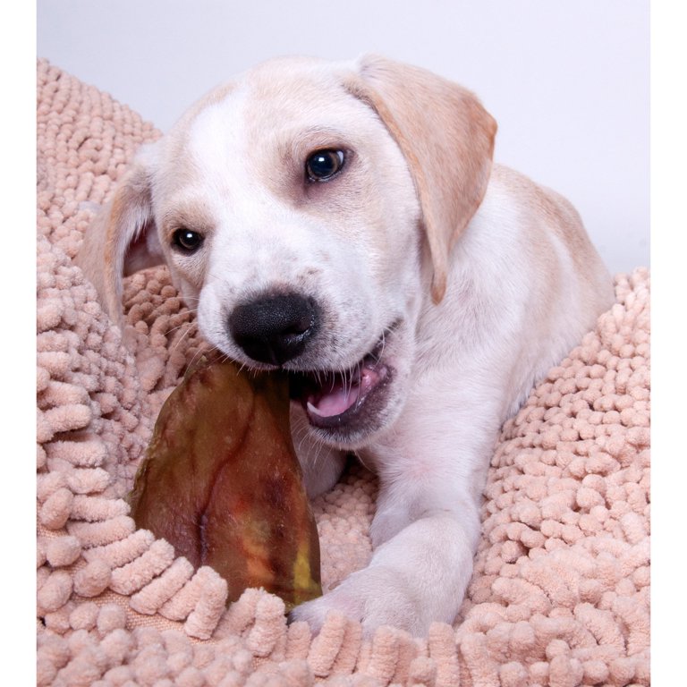 Are Real Pig Ears Ok For Dogs