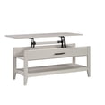 Sauder Summit Station Lift-Top Coffee Table with Shelf in Glacier Oak ...