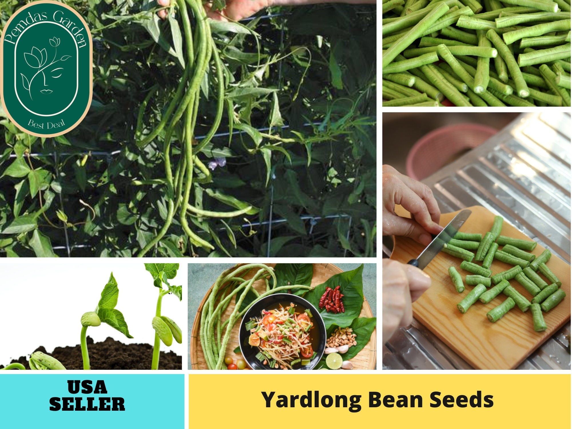 20 Seeds| Bean Seeds, Yard Long Seeds - Authentic Seeds ~ GMO Free ...