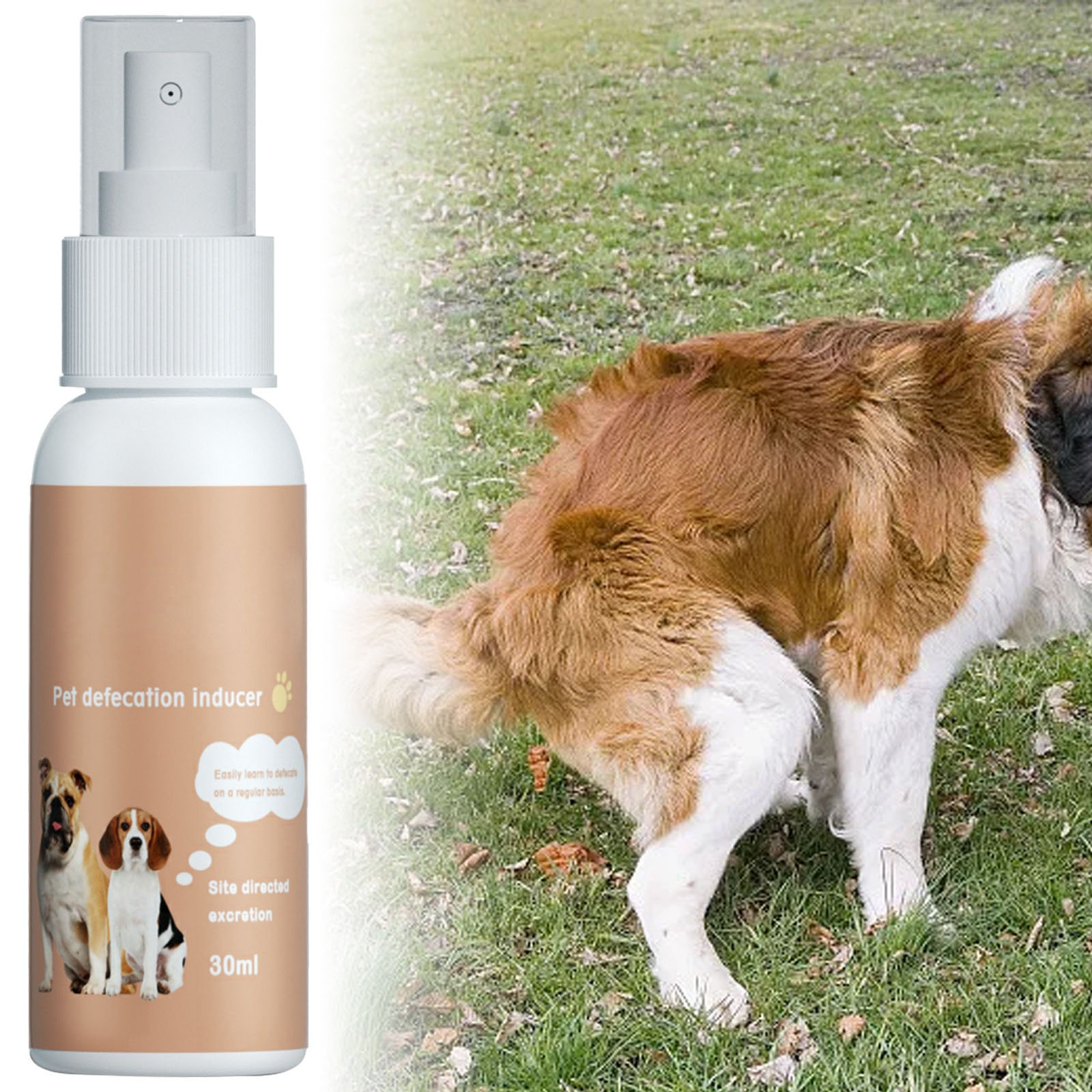 Pet Defecation Inducer Pet Cats And Dogs Defecation Inducer Toilet ...