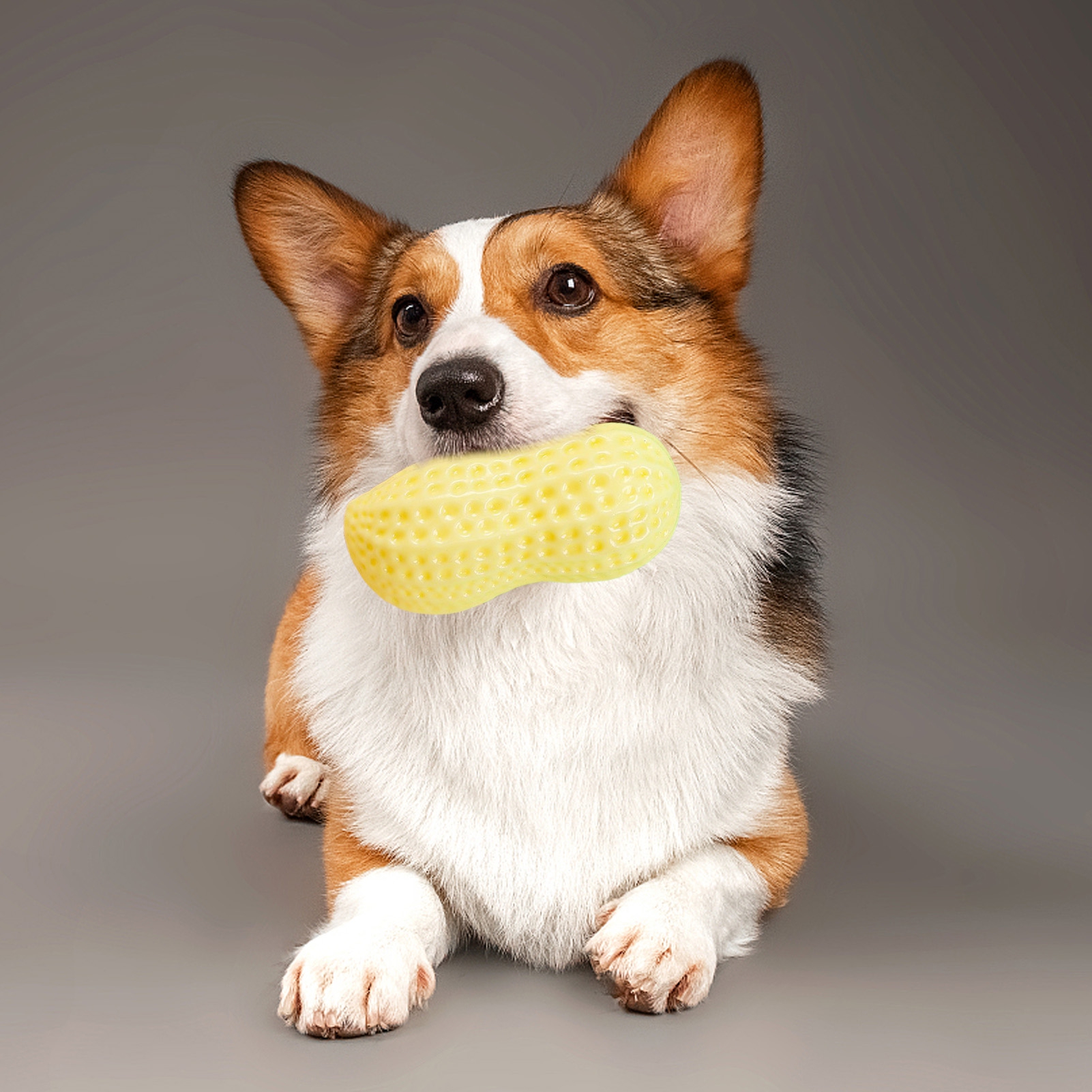 wirlsweal Dogs Teething Toy Particle Design for Teeth Cleaning Plaque ...