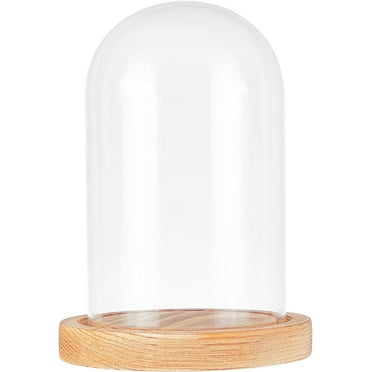 Large Acrylic Plastic Dome Display Case with Clear Base, 7-1/2-inch ...