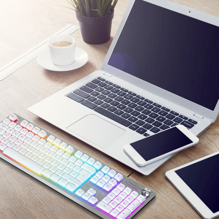 Rainbow Apple Computer Keyboard