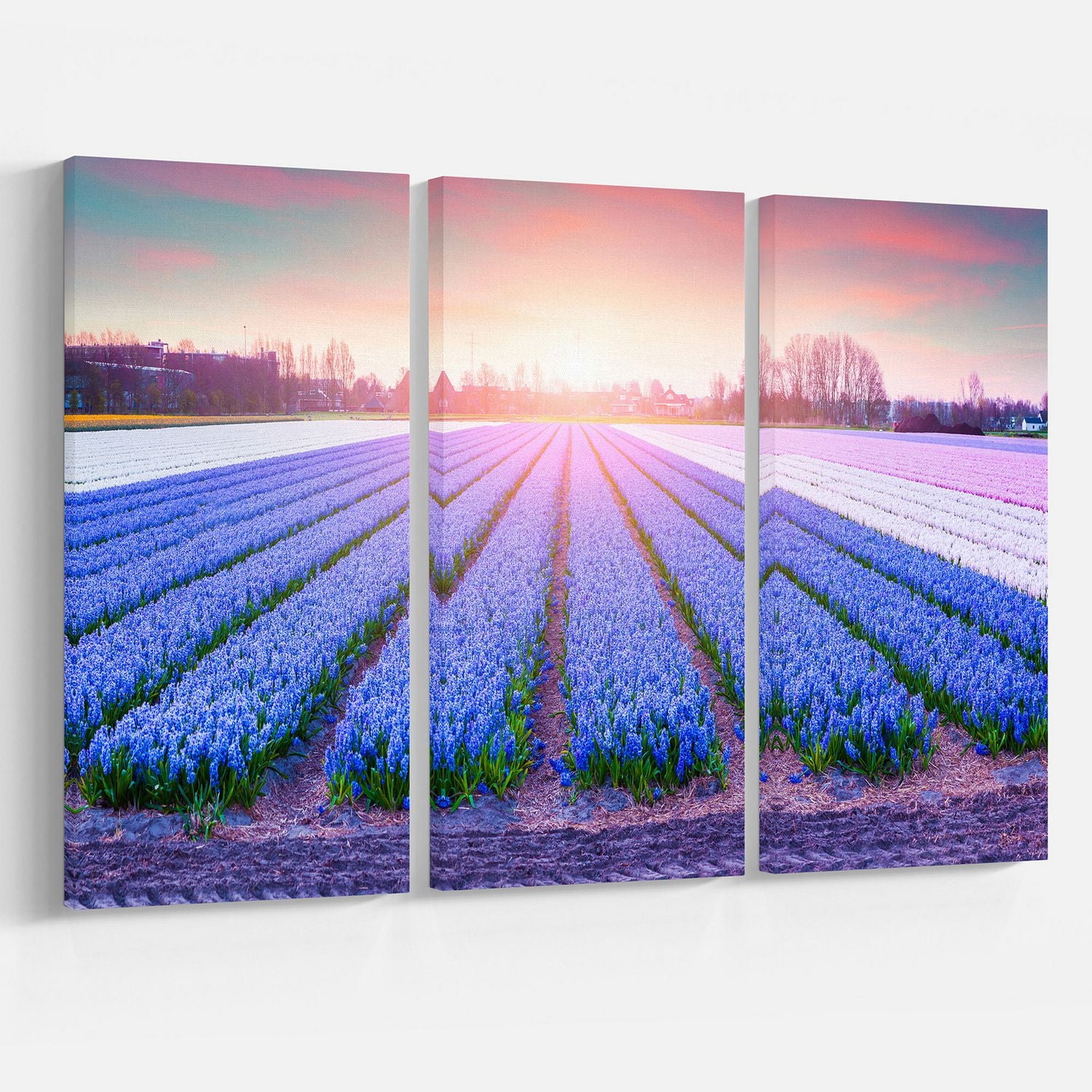 Click here for Designart Design Art Field Of Blooming Hyacinth Fl... prices