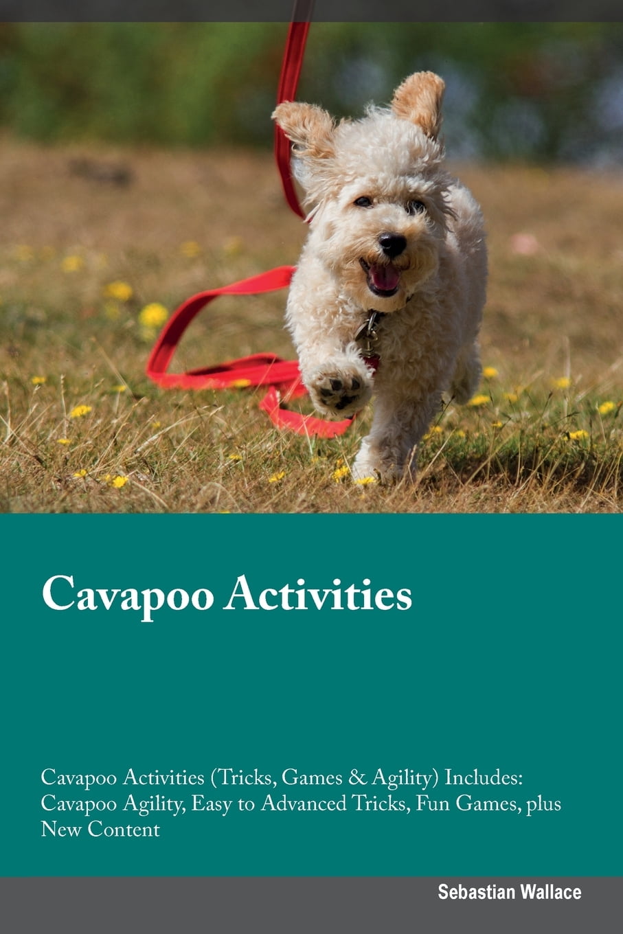 Cavapoo Activities Cavapoo Activities (Tricks, Games & Agility) Includes : Cavapoo Agility, Easy ...