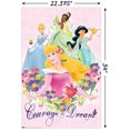 Disney Princess - Courage and Dream Wall Poster, 22.375" x 34 ...