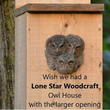 Vundahboah Amish Goods Screech Owl House Box for Nesting- Handmade in ...