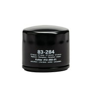 Oil Filter - Briggs Vanguard - Walmart.com