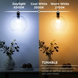 Merkury Smart LED Bulb - 9W (60W Eqv) RGBW Dimmable A19 Light, E26 Base ...