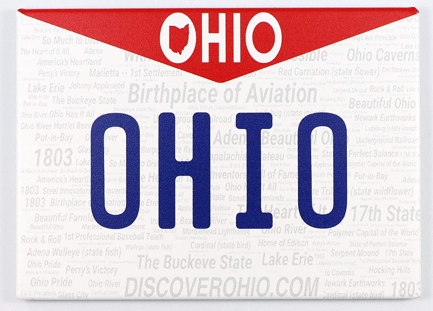 Ohio License Plate Fridge Collector's Souvenir Magnet 2.5" X 3.5 ...