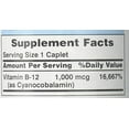Puritans Pride Vitamin B-12 1000 Mcg Timed Release Caplets, 250 Count - Walmart.com