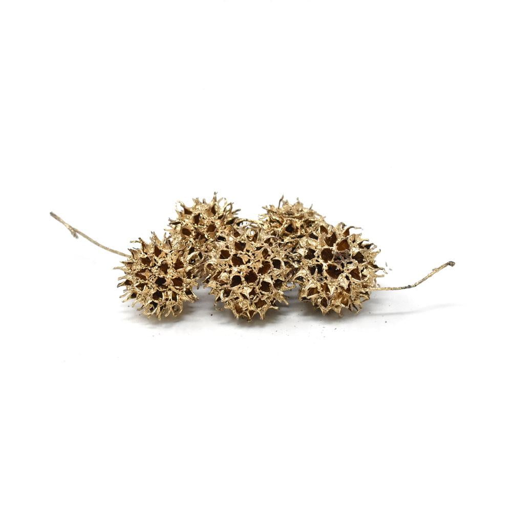 Natural Goldleaf Sweet Gum Balls, Gold, 5-Piece - Walmart.com