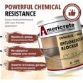 Efflorescence Blocker - Eco Friendly, Chemically Bonded Water Based ...