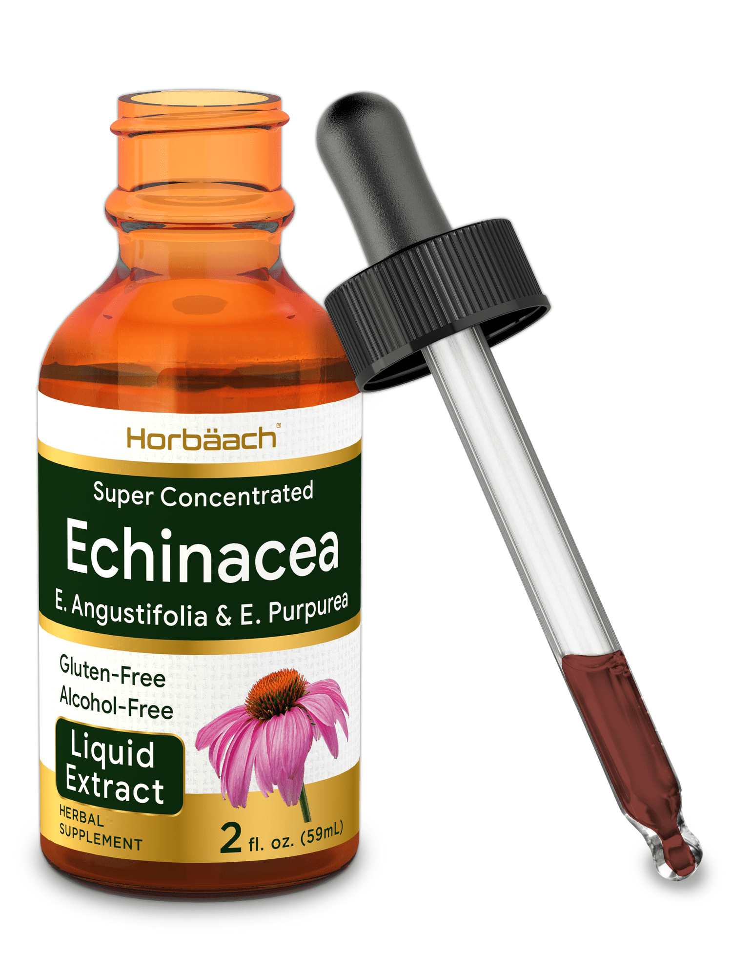 Echinacea Liquid Extract 2 oz | Super Concentrated | Alcohol Free ...