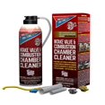 Berryman Chemical 2611 Engine Cleaning Spray, Intake Valve & Comb ...
