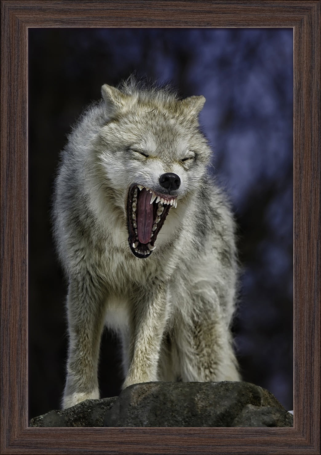 Angry Wolf Painting