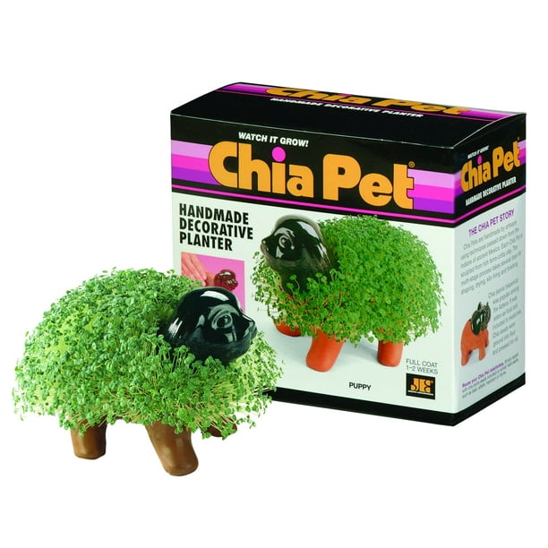Chia Pet Puppy - Decorative Pot Easy to Do Fun to Grow Chia Seeds ...