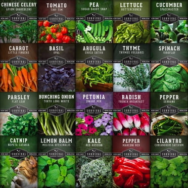 Set of (43) Current Year Assorted Vegetable & Herb Seeds - Create a ...