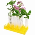 16Pcs 50Ml Large Floral Tubes with Rack Holder for Milkweed Leaf, Stem ...