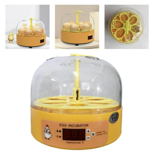 wolftale Eggs Incubator Automatic Turning Duck Bird Children Hatching ...
