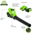 Greenworks 40V Rechargeable Leaf Blower, 110 MPH - 390 CFM, Yard ...