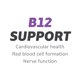 AOR, Hydroxy B12, Supports Cardiovascular Health, Nerve Function and ...