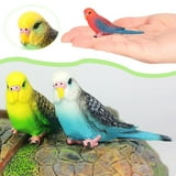 seebee Parrot Animal Mod Budgie Parrot Bird Figurine Parakeet Birds ...
