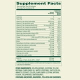 Spring Valley Prenatal Mini Multivitamin/Multimineral Supplement, Mini ...