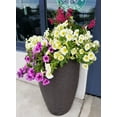 Algreen Products 87311 Athena Self-Watering Flower Pot and Planter ...