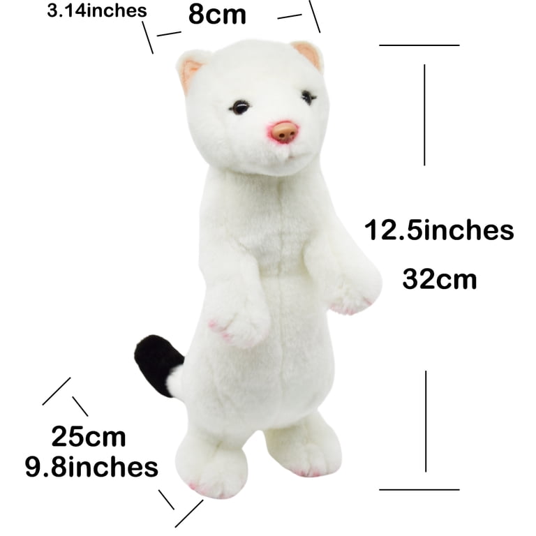 Ferret Teddy