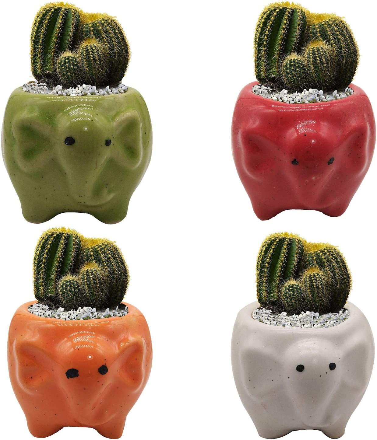 India Meets India Ceramic Flower Pot Planter Plant Pot Indoor Planter ...