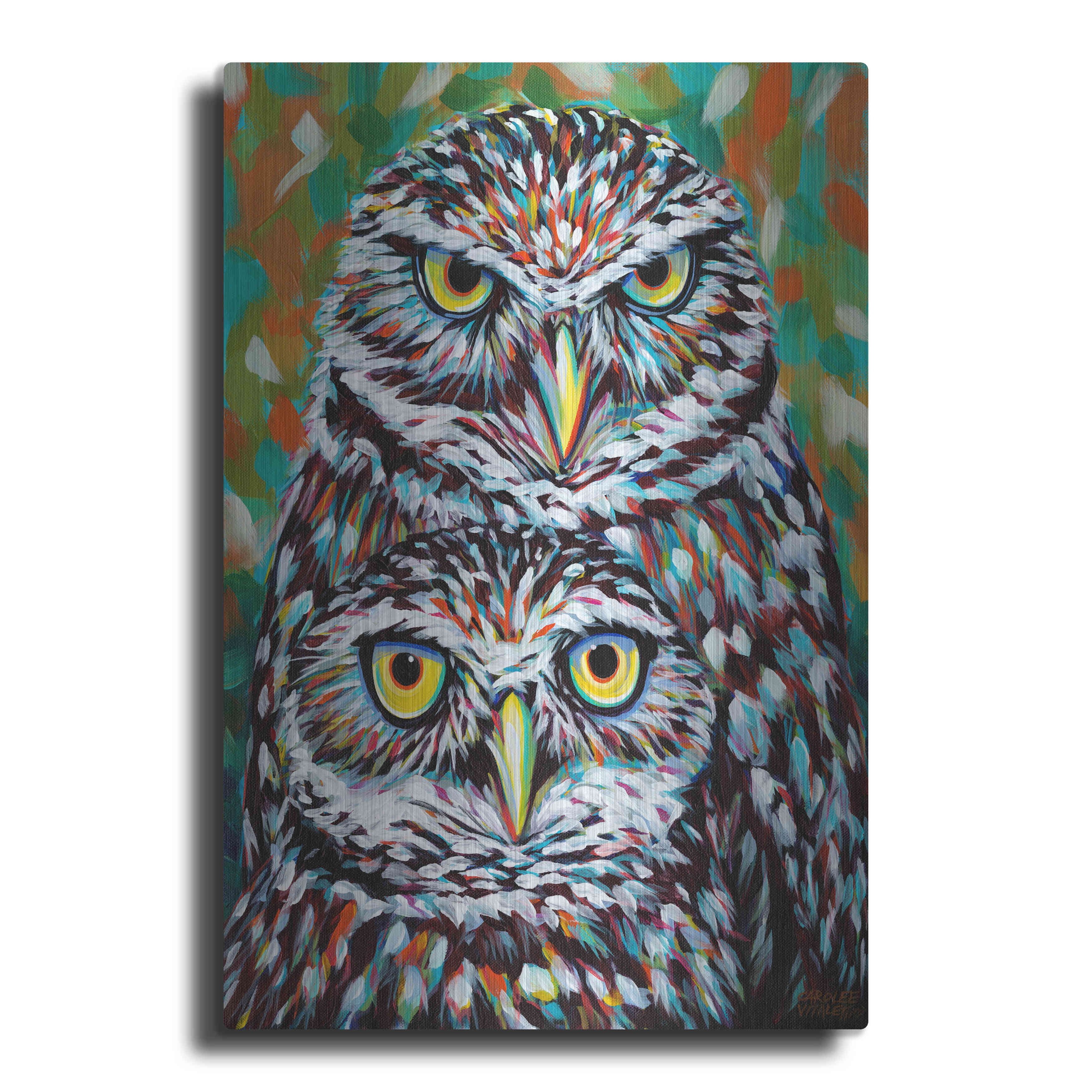 Luxe Metal Art 'Furry Feather Friends I' by Carolee Vitaletti Metal ...
