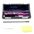 Sky(Paititi) Approved C Key Piccolo with Case, Cleaning Supplies (Hot ...