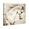 Runway Avenue Animals Wall Art Canvas Prints 'Bree' Farm Animals ...