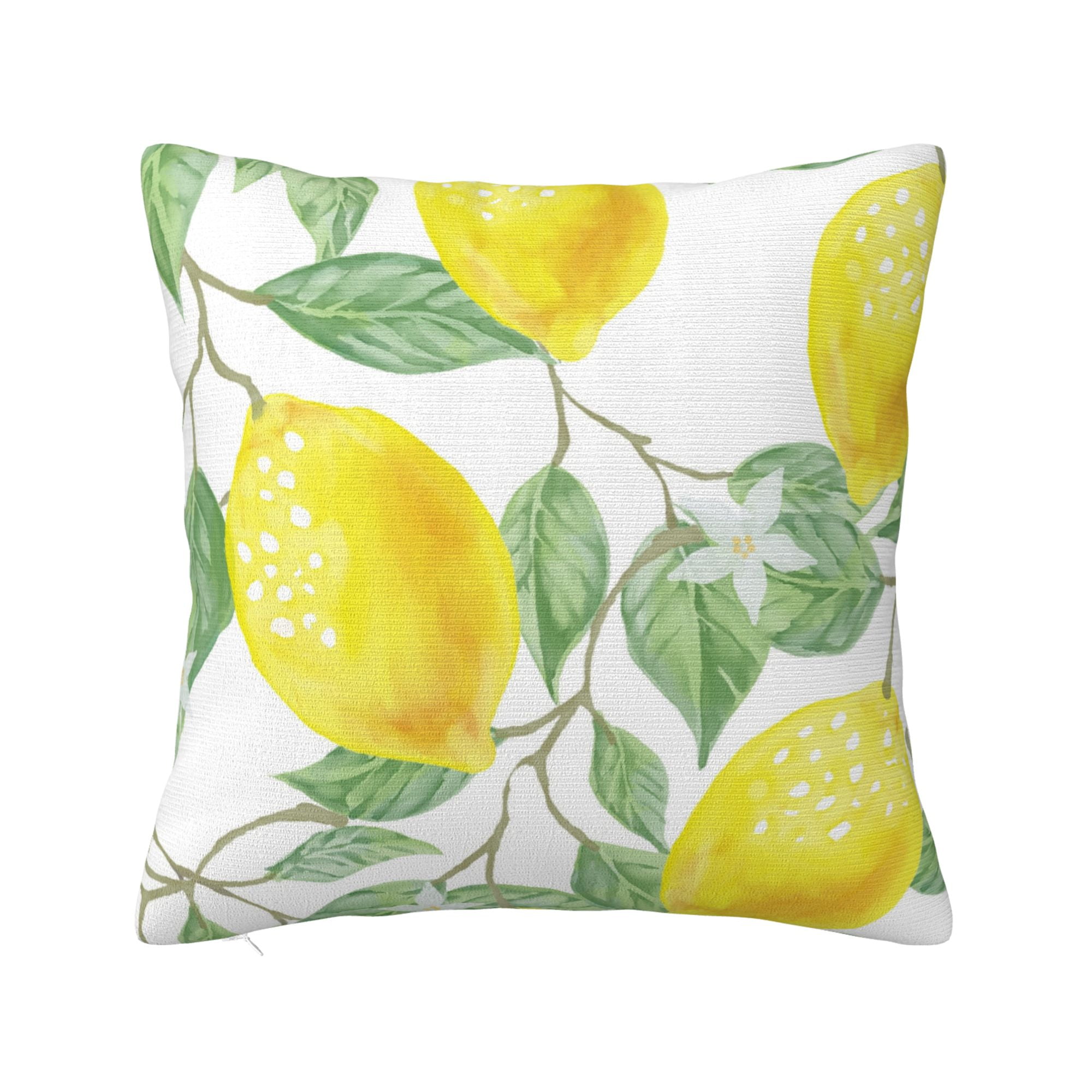 ZICANCN Fruit Lemon Art Pattern Decorative Throw Pillow Covers, Bed ...