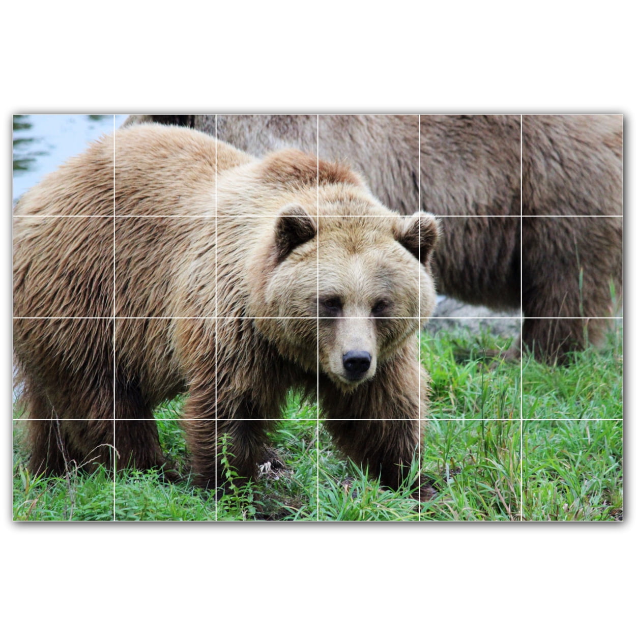 Picture-Tiles.com: Bear Ceramic Tile Wall Mural WAL500131-64L. 48"W x ...