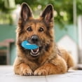 Indestructible Squeaky Dog Football Toy Tough Rubber Chew Ball for ...