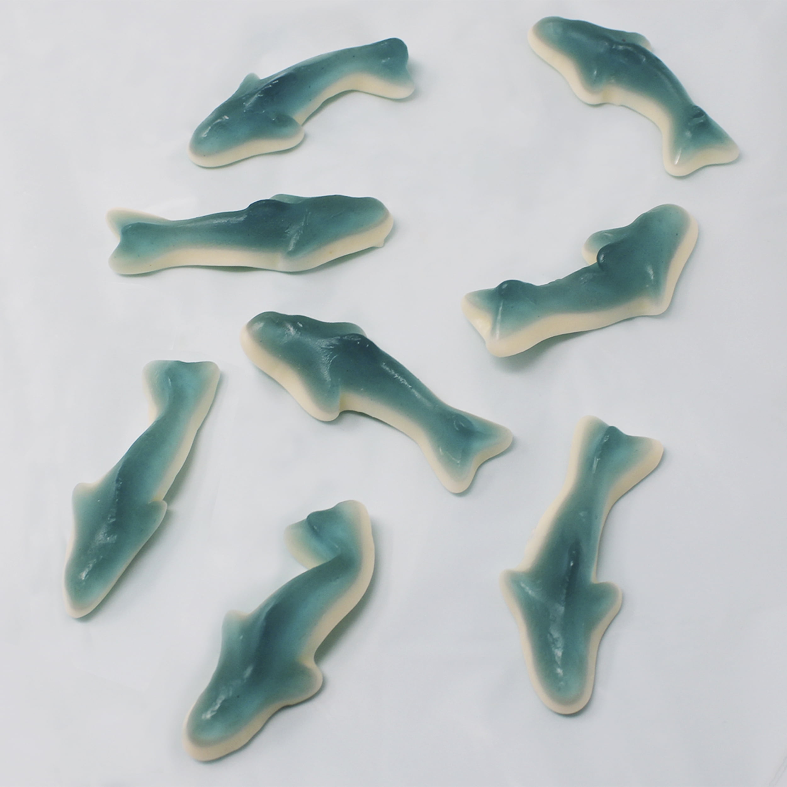 Gummy Shark