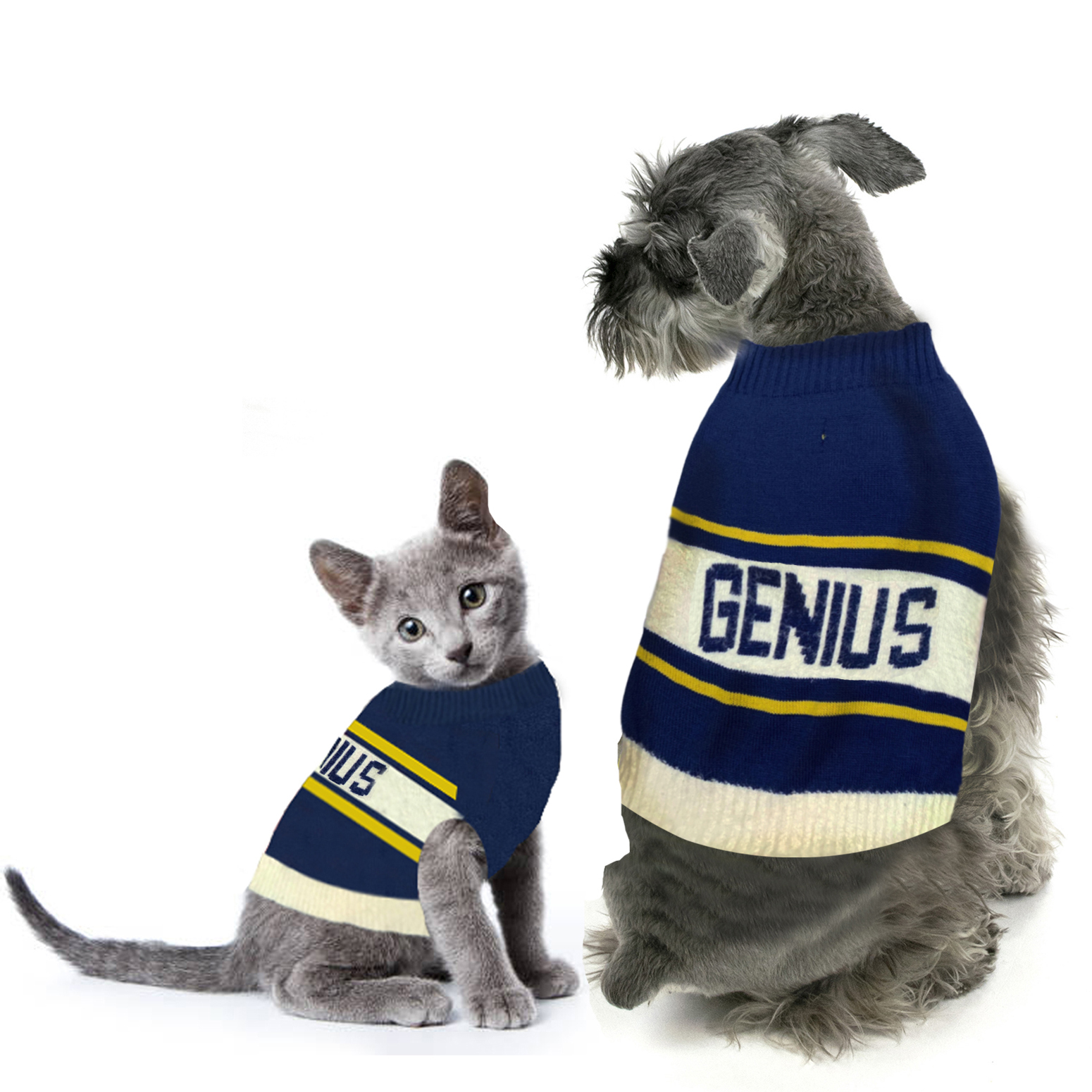 Blue Striped Genius Pet Sweater, X-Small - Walmart.com