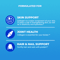 Veru Wellness Collagen Booster Patch - 60 Day Supply - Easy to Use ...