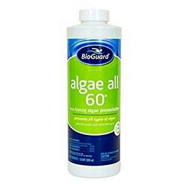 HTH Super Algae Guard 5-in-1, Kills and Prevents Algae in Pools, 1 qt ...