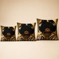 Afrocentric Black Woman Vinyl Record Afro Throw Pillow Cover, Black ...