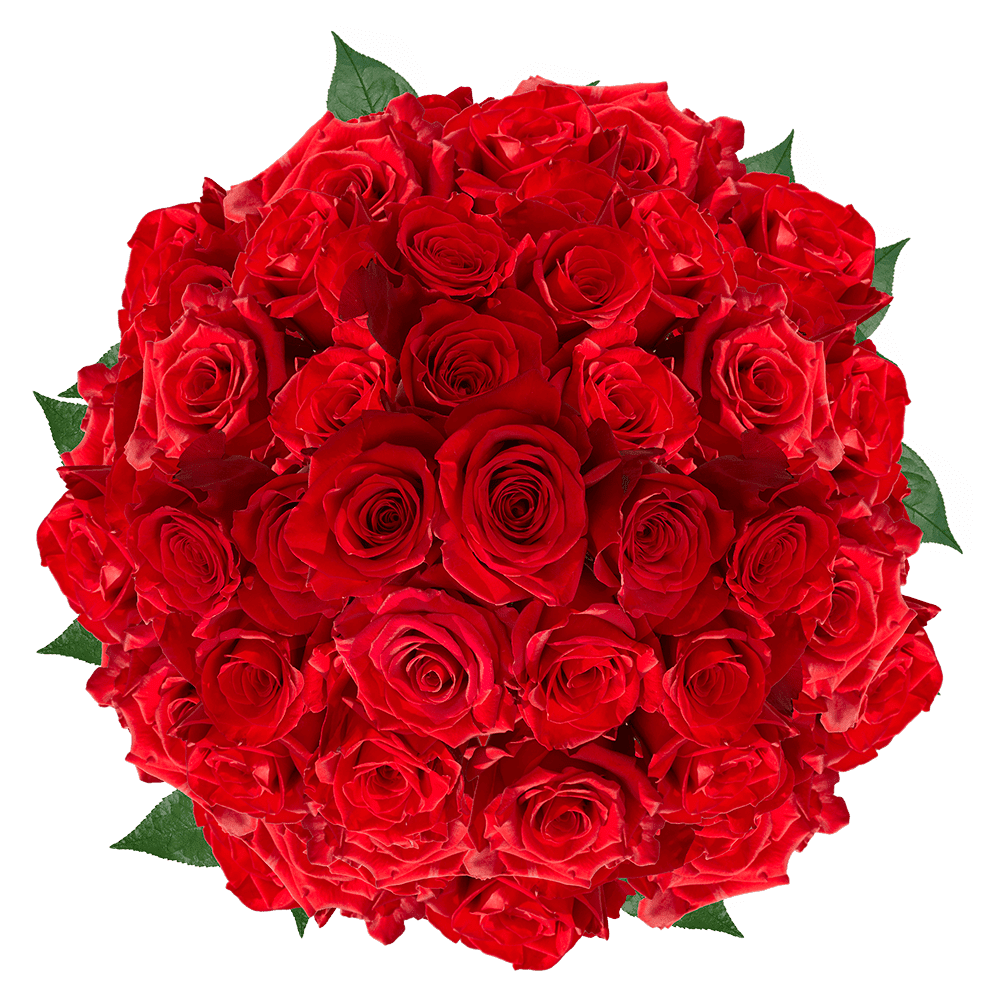 200 Assorted Red Roses- Beautiful Fresh Cut Flowers- Express Delivery ...