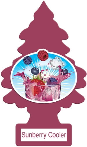 Little Tree Air Freshener Assorted Scents 12 Pack - Walmart.com