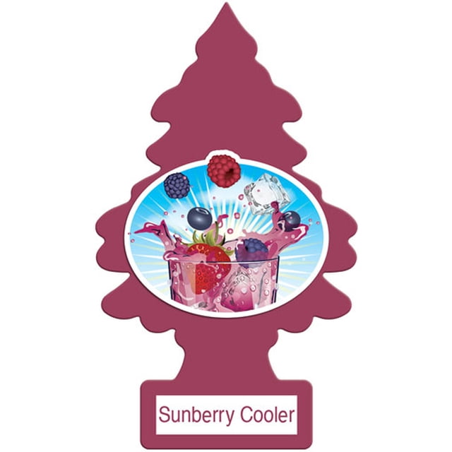 Little Tree Air Freshener Assorted Scents 12 Pack - Walmart.com